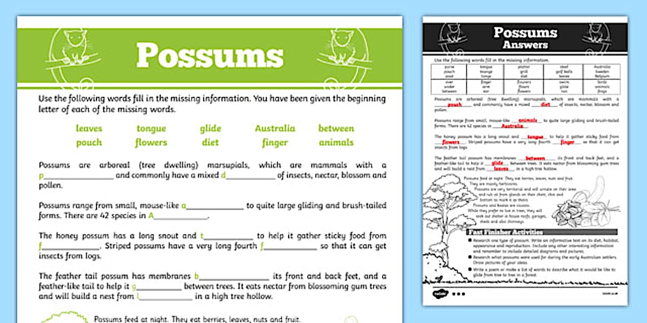 Black and White Australian Animals Years 3-6 Possums Differentiated Cloze
