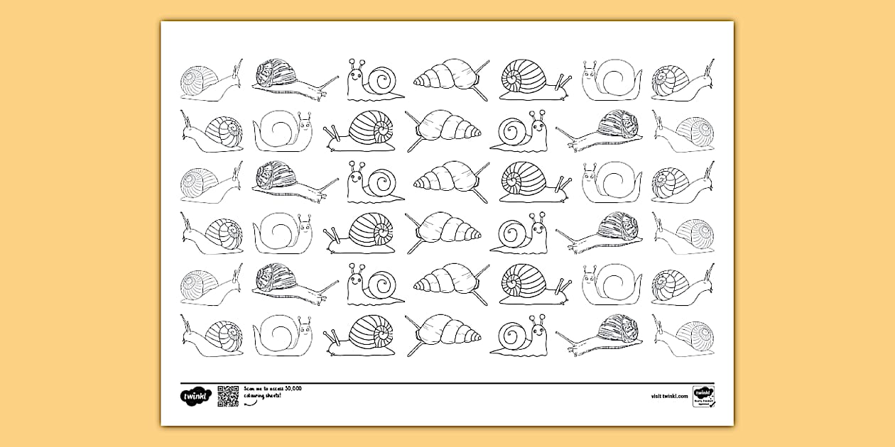 Snail Doodle Colouring Page (teacher made) - Twinkl