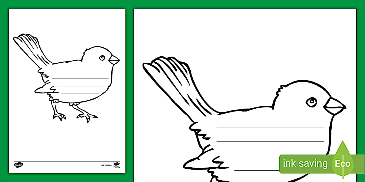 Sparrow Writing Template (teacher made) - Twinkl