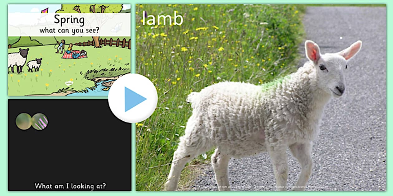 Springtime What Can You See? PowerPoint (teacher made)