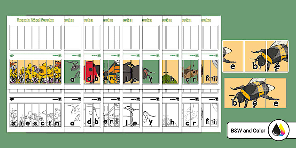 Insects Word Puzzles (teacher made) - Twinkl