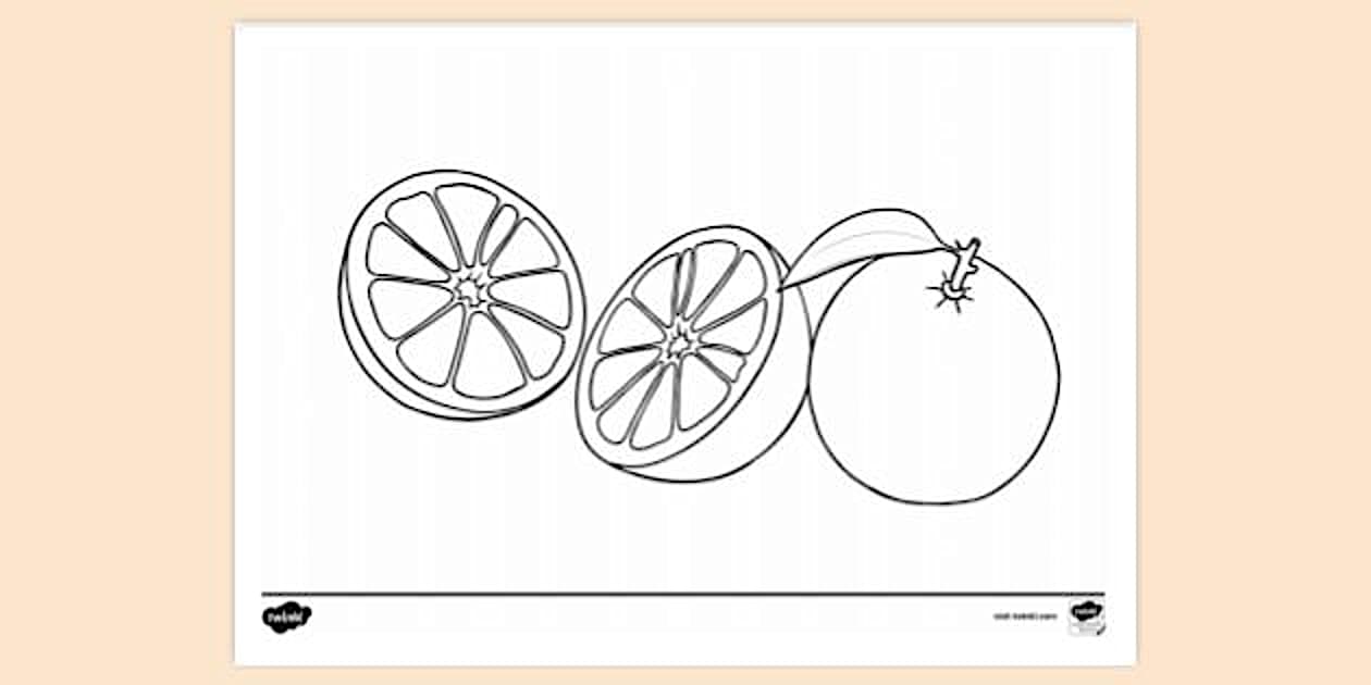 Orange Slice Colouring | Colouring Sheets