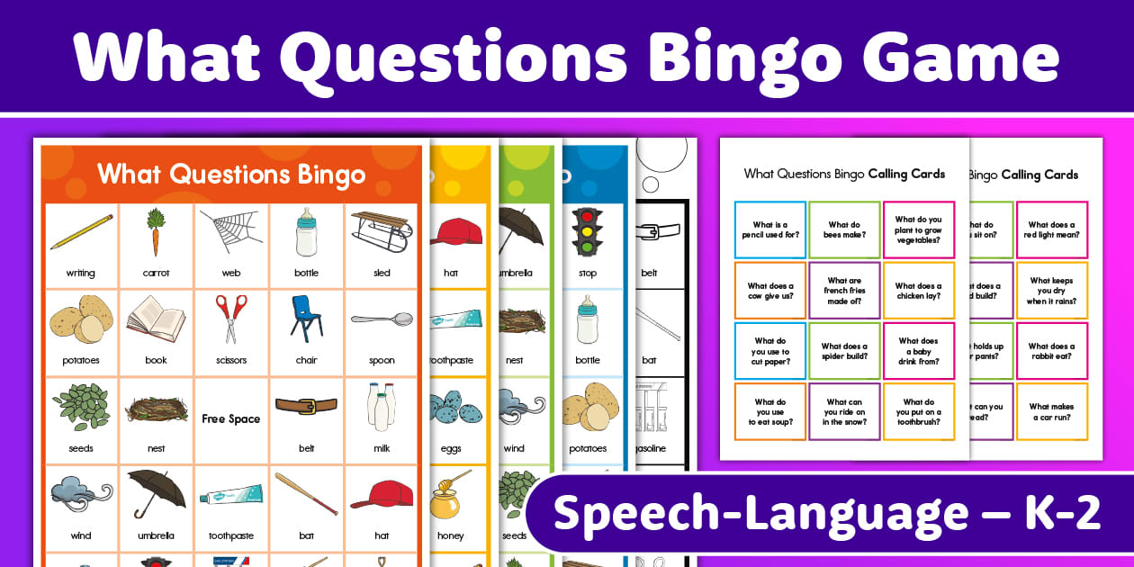 What Questions Bingo Game for SLP
