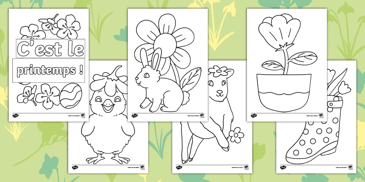 Coloriages : Mon premier printemps - Twinkl