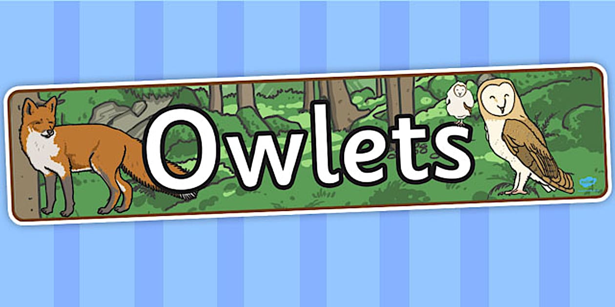 Owl Display Banner (teacher made) - Twinkl