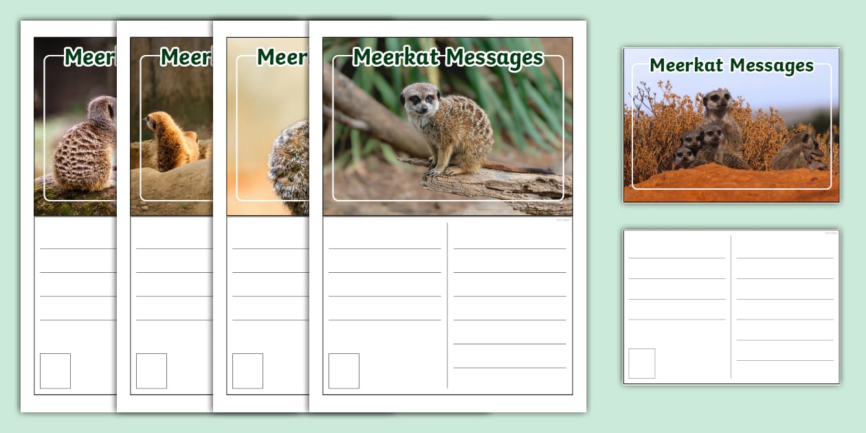 Meerkat Photo Postcard Writing Frames (Teacher-Made)