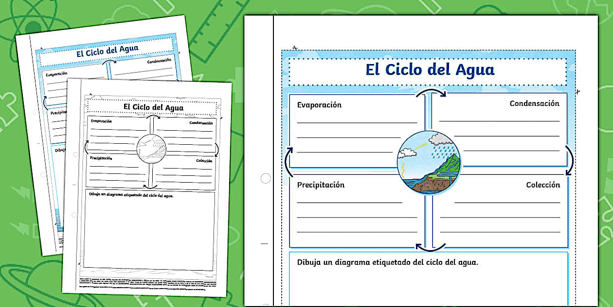 Ficha de Investigación: El Ciclo del Agua