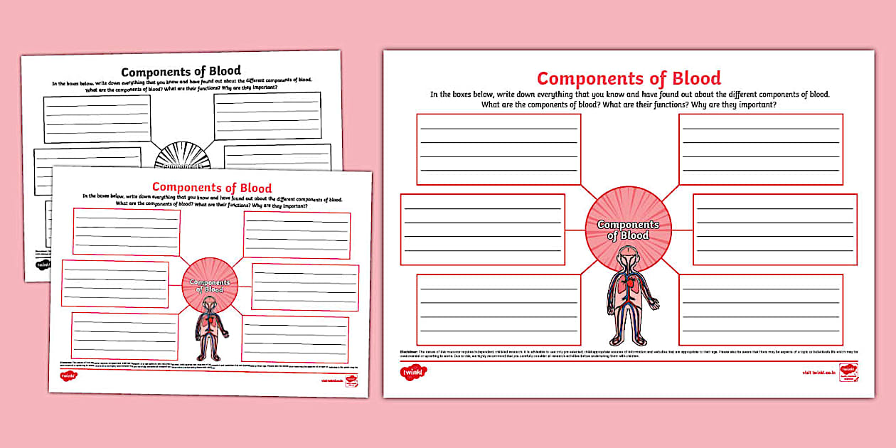 Components of Blood Mind Map (teacher made) - Twinkl