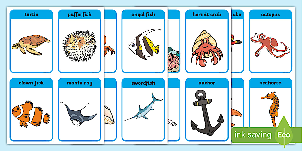 Under the Sea | Printable Ocean Flashcards (teacher made)