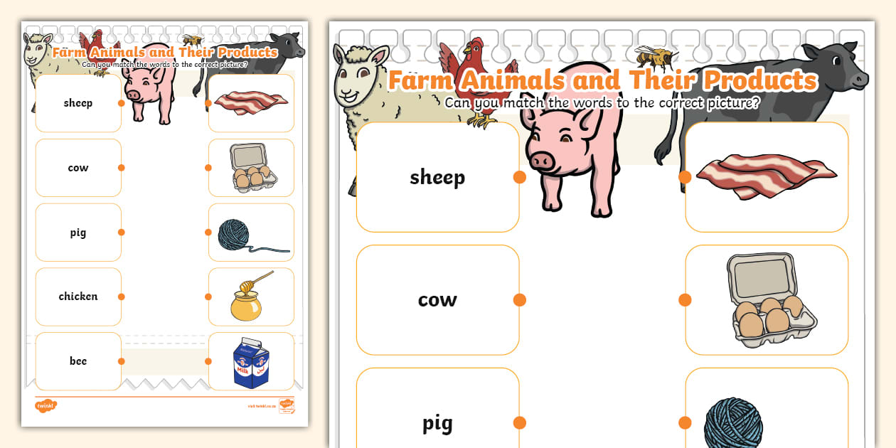 Farm Animals and Their Products Matching Worksheet - Twinkl
