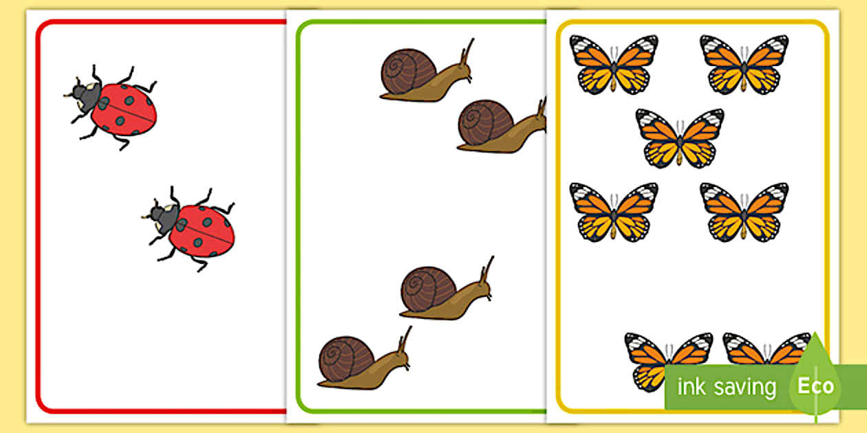 👉 Minibeast Subitising Flashcards (teacher made) - Twinkl