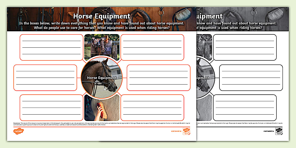 Horse Equipment Mind Map (teacher made) - Twinkl