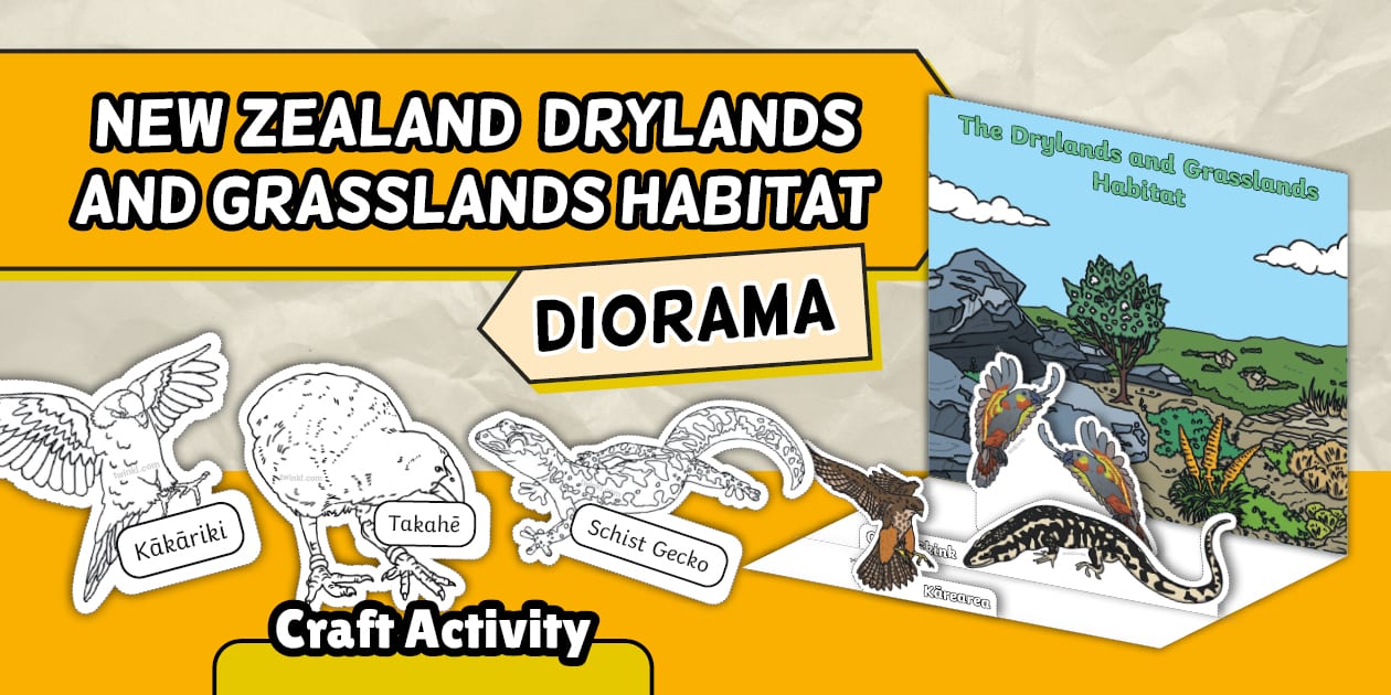 New Zealand Drylands and Grasslands Habitat Diorama