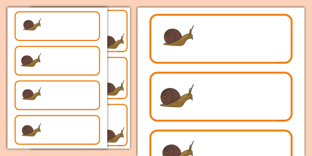 Editable Drawer - Peg - Name Labels (Snails) (teacher made)