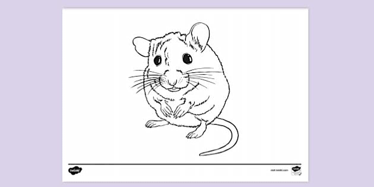 Little Mouse Colouring Sheet - KS1 (teacher made) - Twinkl