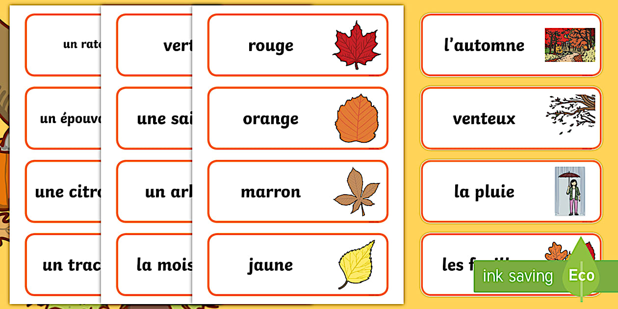 Cartes de vocabulaire sur l'automne