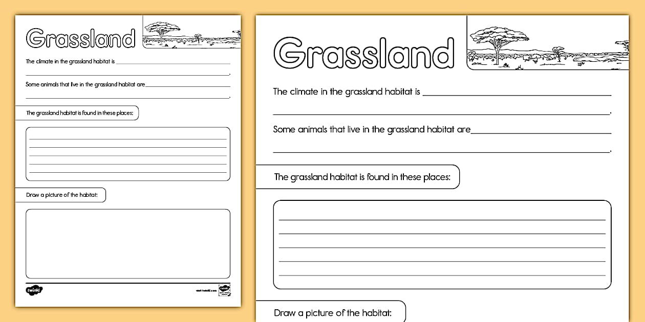 Grassland Habitat Research Worksheet for K-2nd Grade