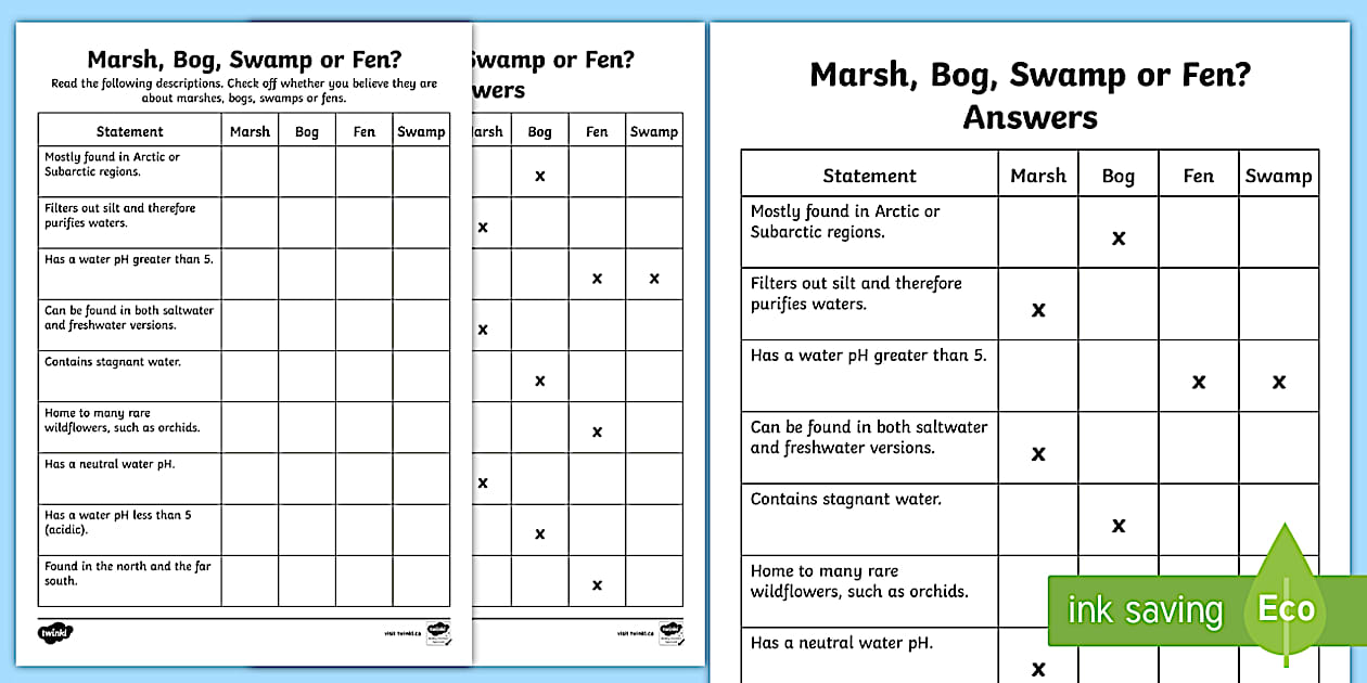 Marsh, Bog, Swamp or Fen? Worksheet / Worksheet - Twinkl