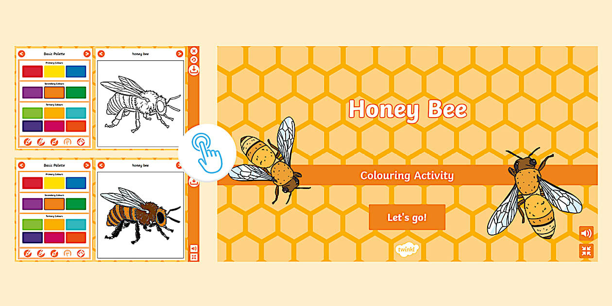 Honey Bee Interactive Colouring (teacher made) - Twinkl
