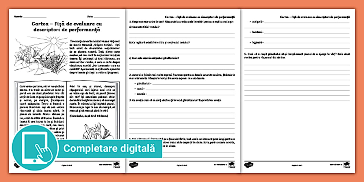 Clasa a III-a: Cartea – Fișă de evaluare cu descriptori de performanță