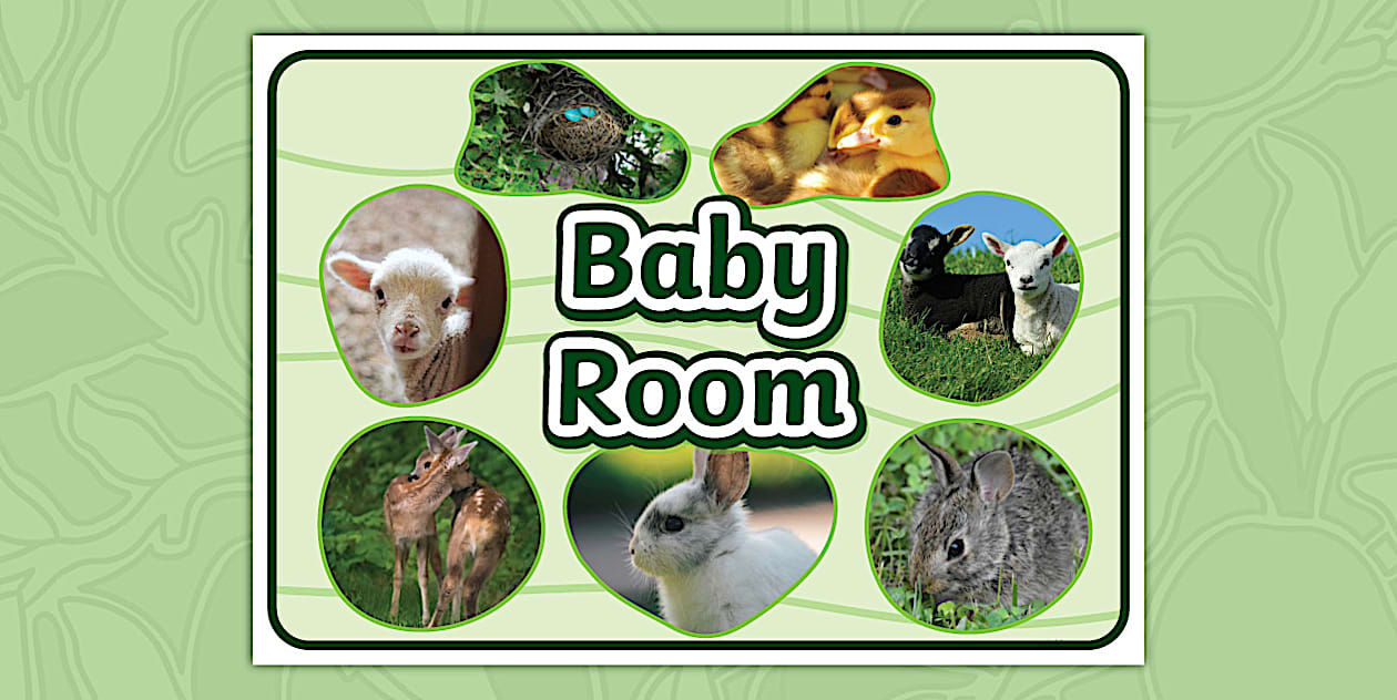 Spring Baby Room Photo Display Poster (Teacher-Made)