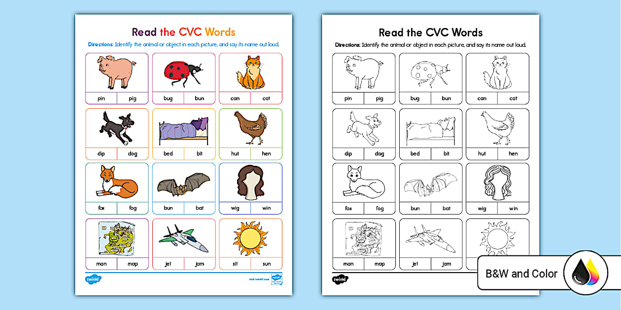 Editable Read the CVC Words Activity (teacher made) - Twinkl
