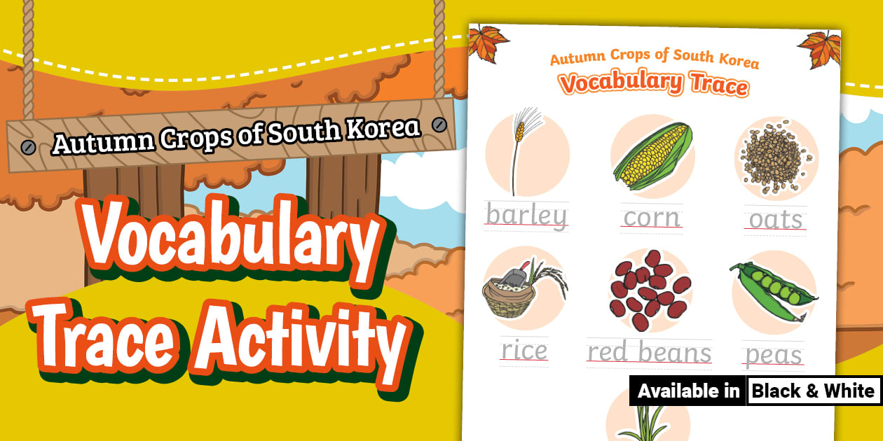 한국의 가을 곡식 영어 단어 따라쓰기 학습지 Autumn Crops of South Korea Vocabulary Trace