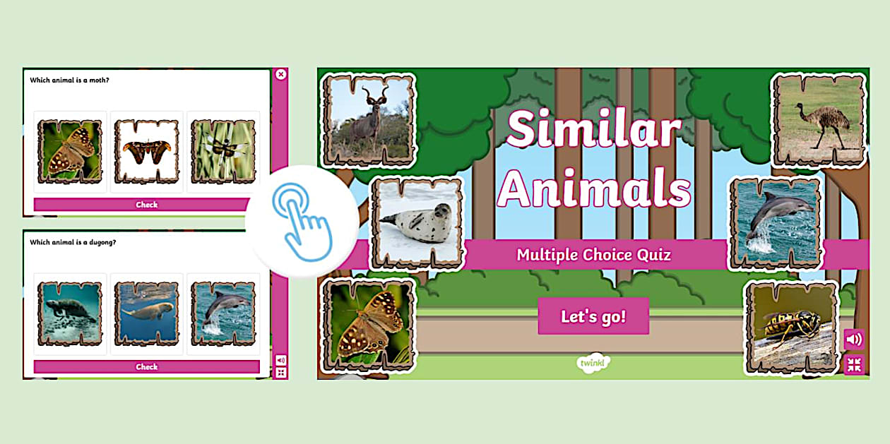 Similar Animals Multiple Choice Quiz (teacher made) - Twinkl