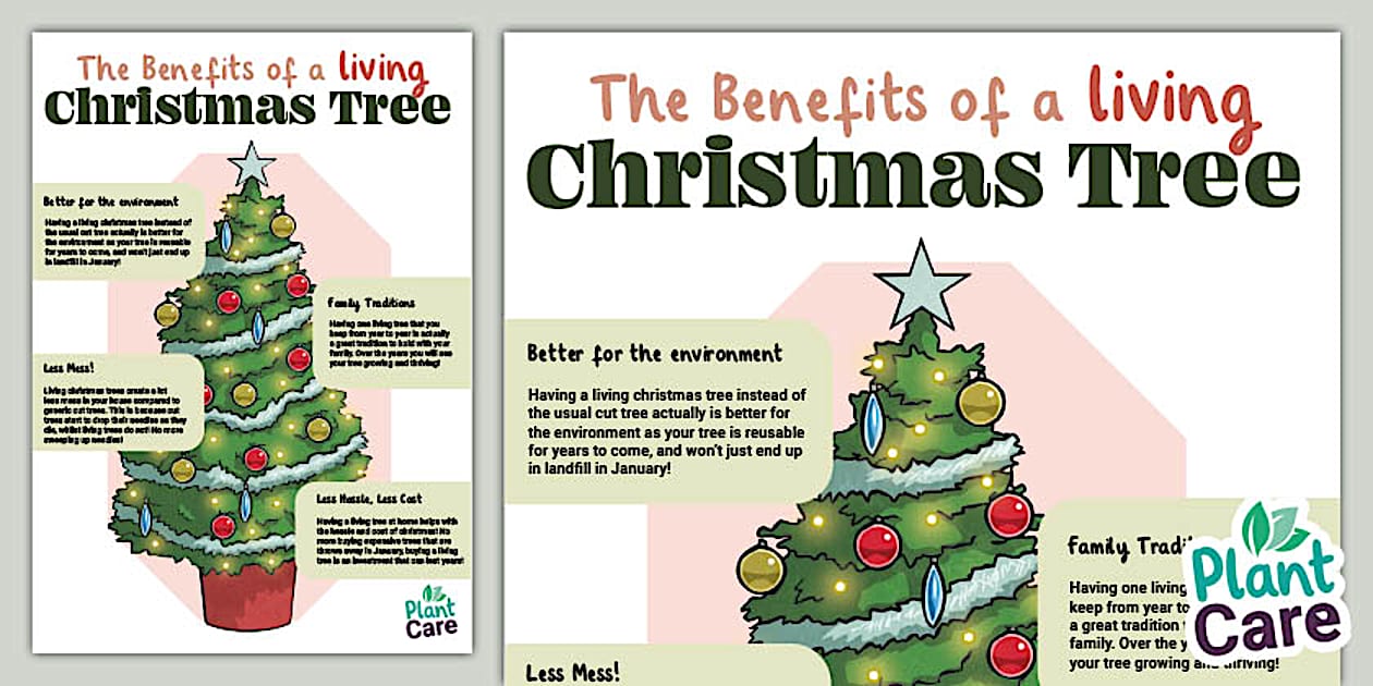 The Benefits of a Living Christmas Tree (teacher made)