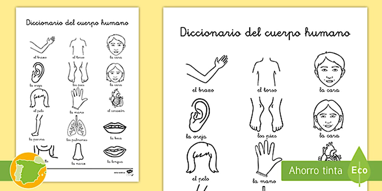 Hoja de colorear: Diccionario del cuerpo humano