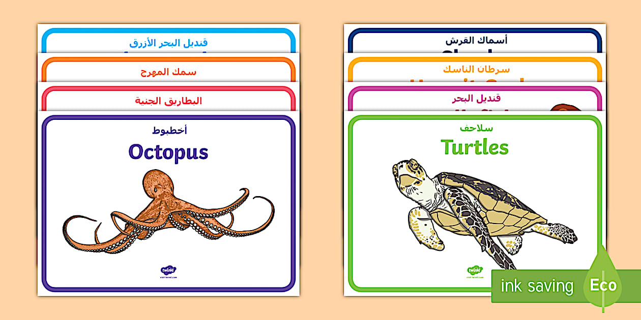 Editable Beach Themed Display Signs Group and Table Signs - Arabic/English