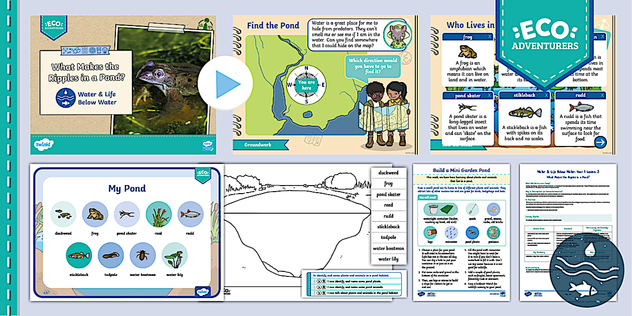 Year 1 Water: Lesson 3 - What Makes the Ripples in a Pond?
