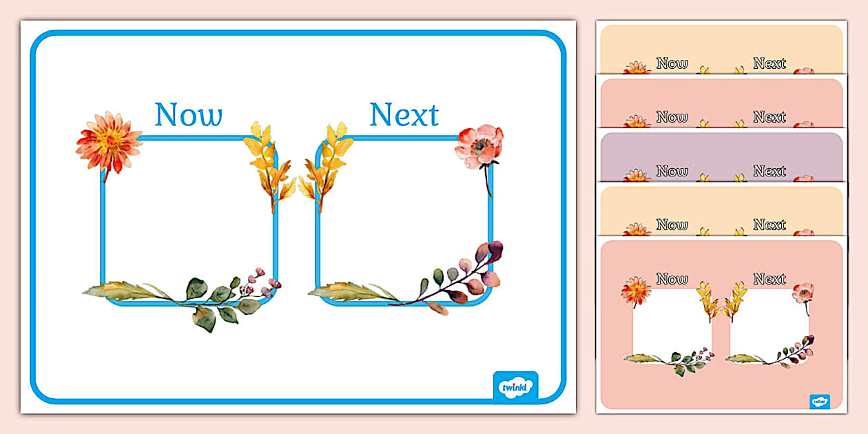 Wildflower Botanical Themed Now and Next Visual Aid - Twinkl