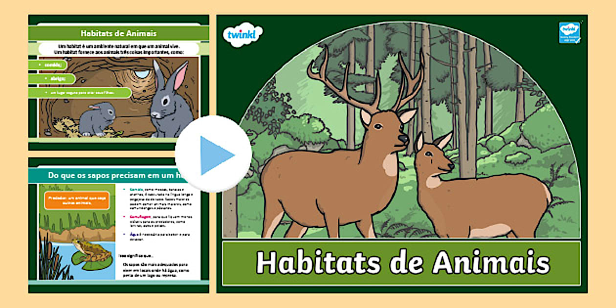 Habitats de Animais - Recurso Visual (teacher made) - Twinkl