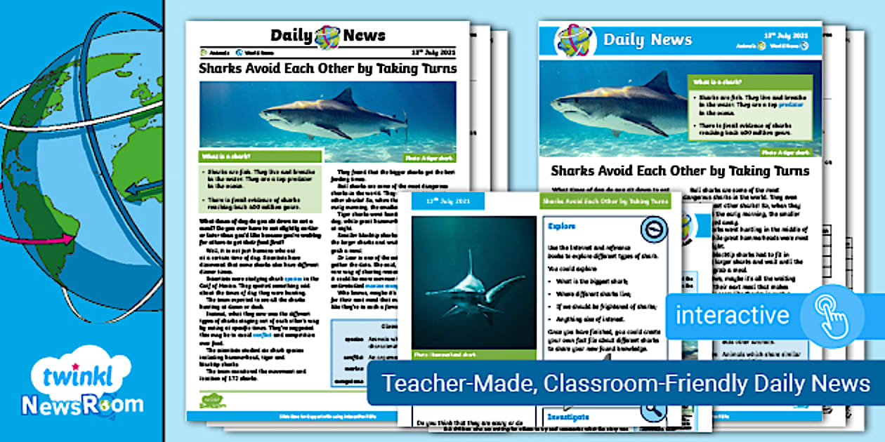 Shark News Reading Comprehension | KS2 Teaching Pack