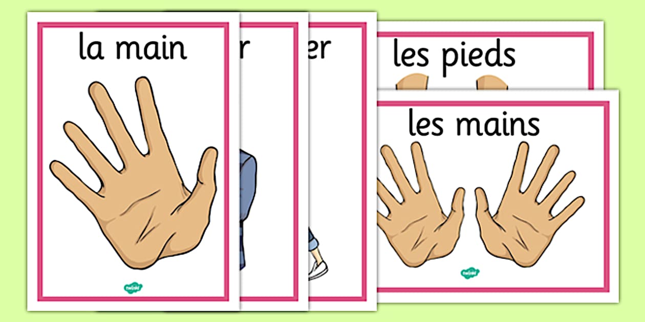 French Actions Display Posters (teacher made) - Twinkl