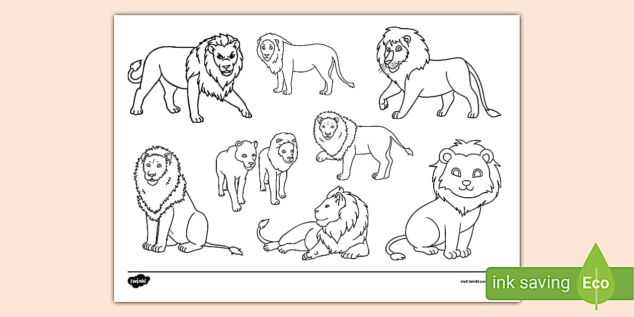 Lion Doodle Colouring Page (creat de profesori) - Twinkl