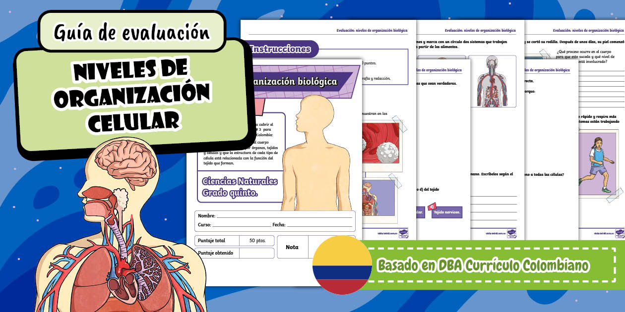 Evaluación: niveles de organización celular