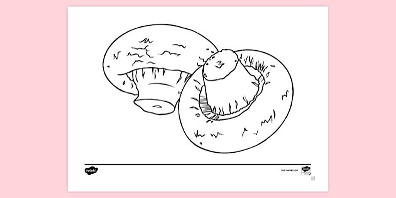 Mushroom Colouring | Colouring Sheets (teacher made)