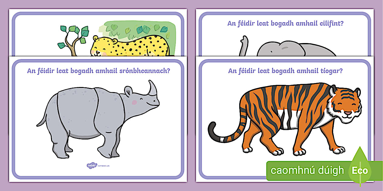Stiofán an Srónbheannach Póstaeir Thaispeántais Ainmhithe A4