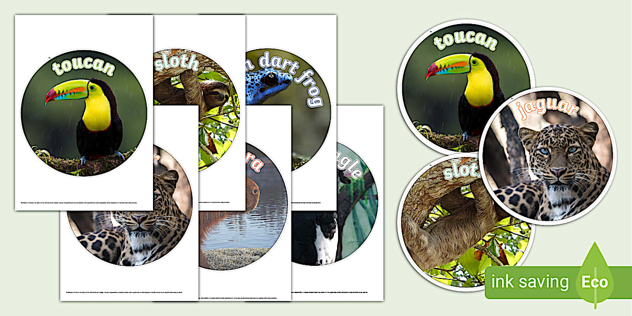 Rainforest Animal Circle Photo Cut-Outs - Twinkl