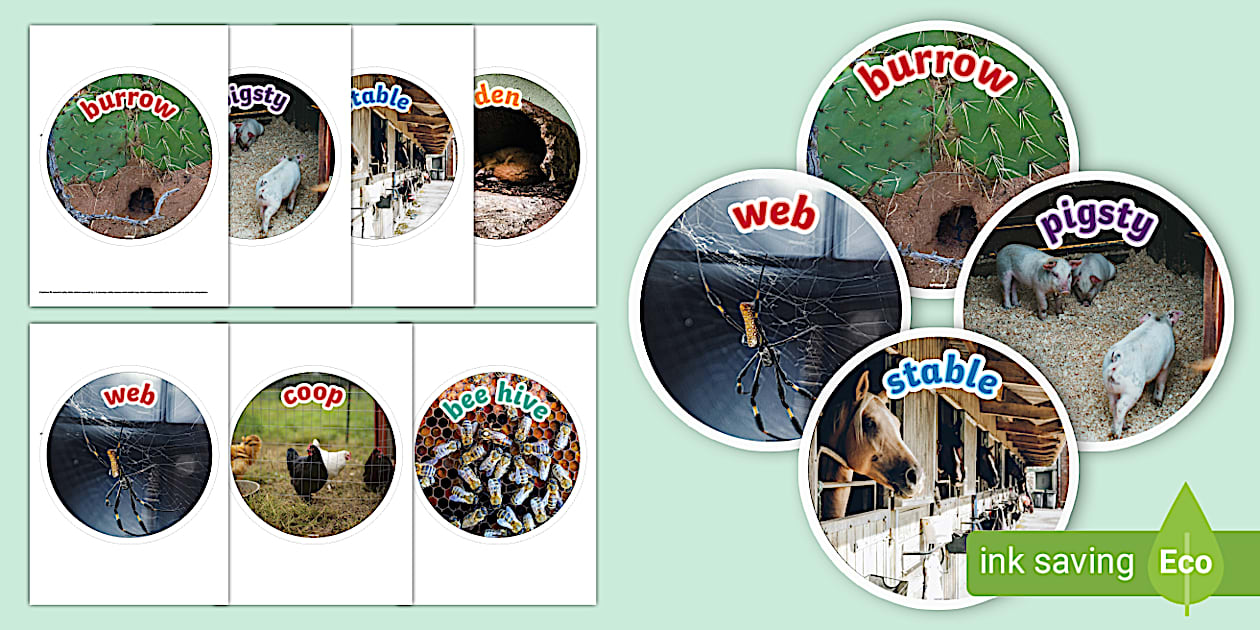 Animal Homes Display Circle Photo Cut-Outs (teacher made)