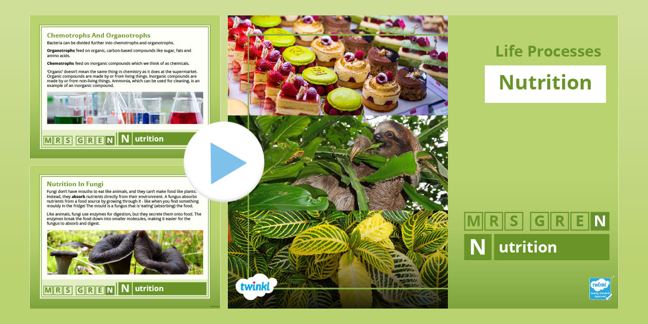 Year 5-8 Life Processes Slideshow - Nutrients (Teacher-Made)