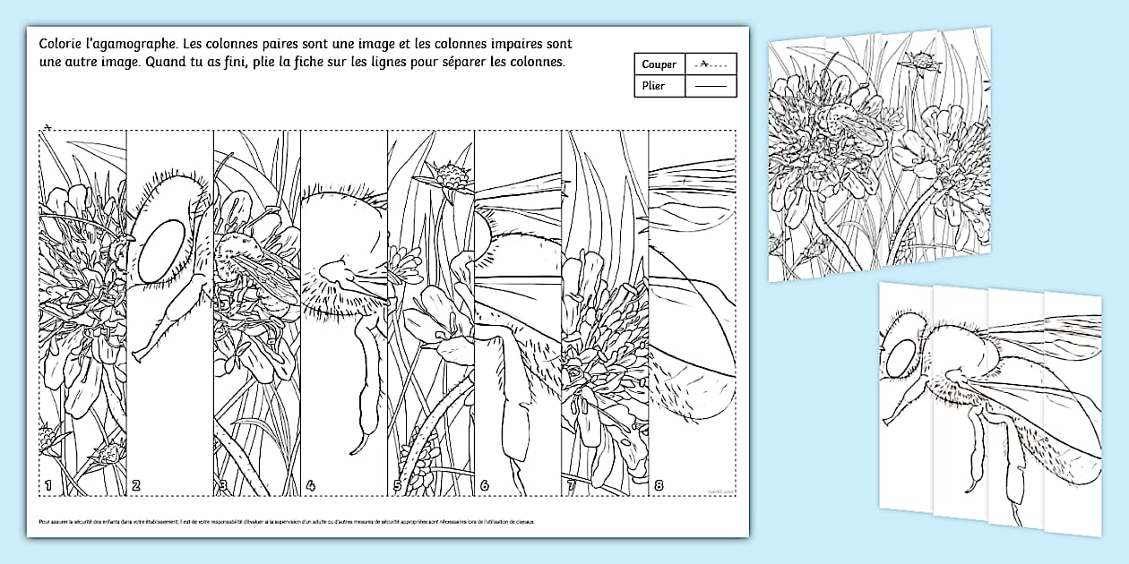 Agamographe à colorier : Les abeilles