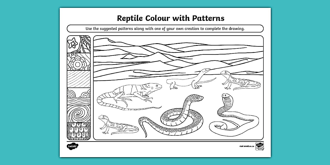 * NEW * Reptiles Colour with Patterns Activity - Twinkl