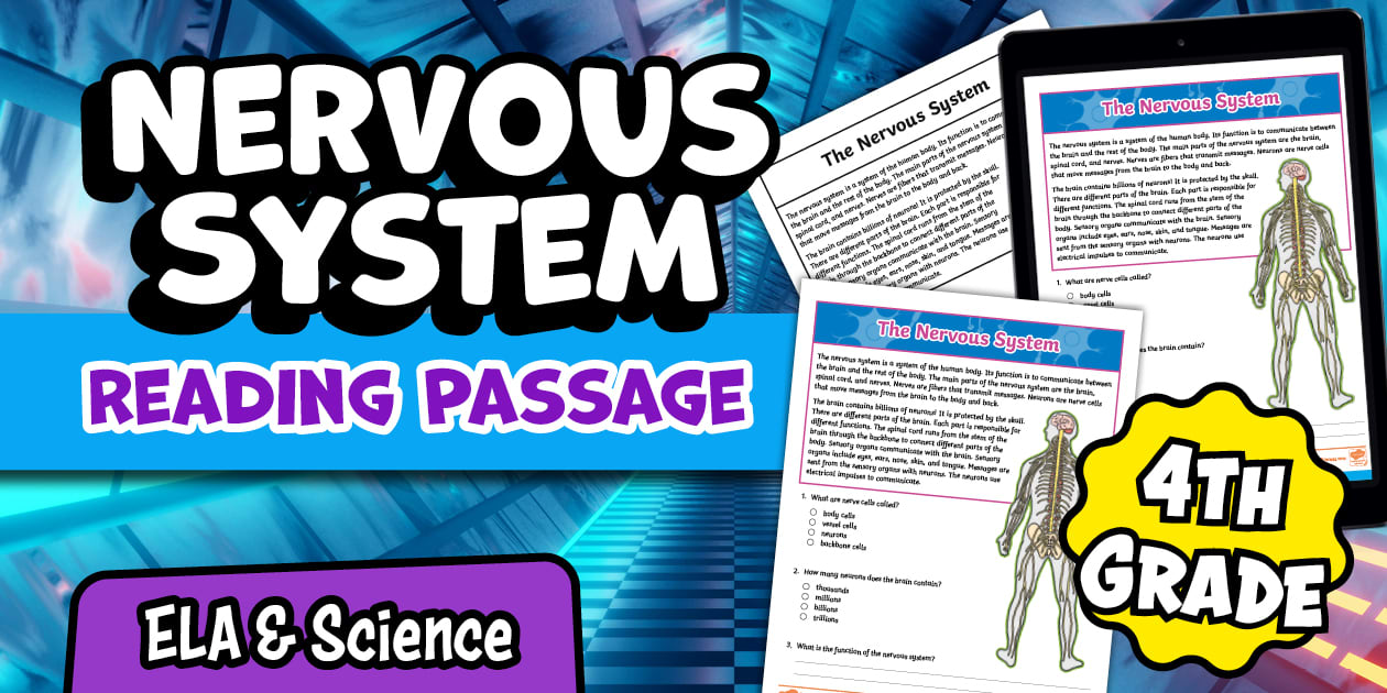 Nervous System Reading Comprehension Worksheet PDF | Twinkl