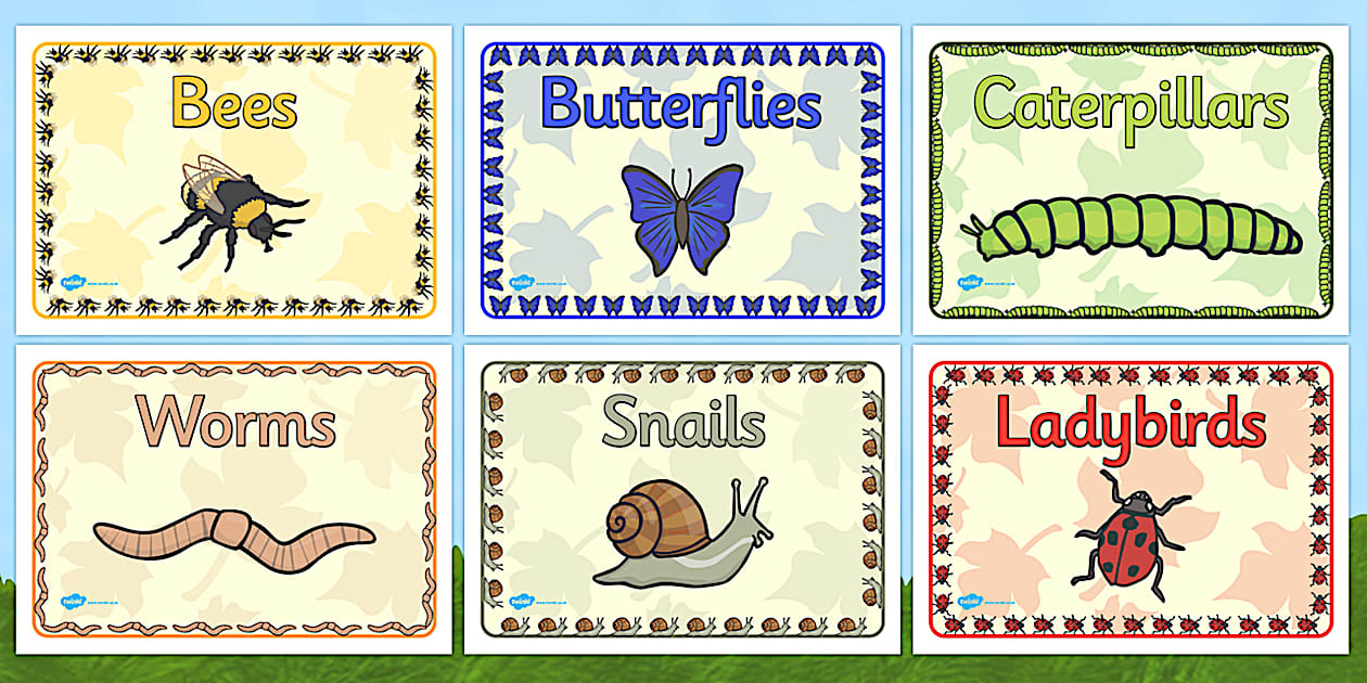 Editable Class Group Names Signs (Minibeasts) (teacher made)