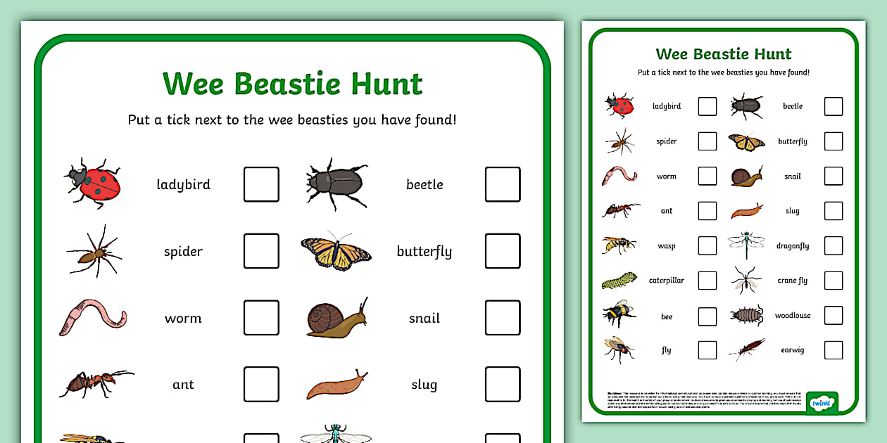Looking for Wee Beasties Minibeast Hunt Activity Sheet