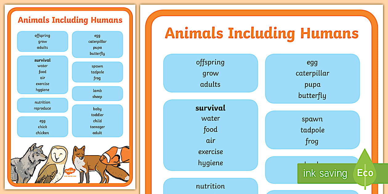 Precursive Year 2 Animals Including Humans Scientific Vocabulary Poster