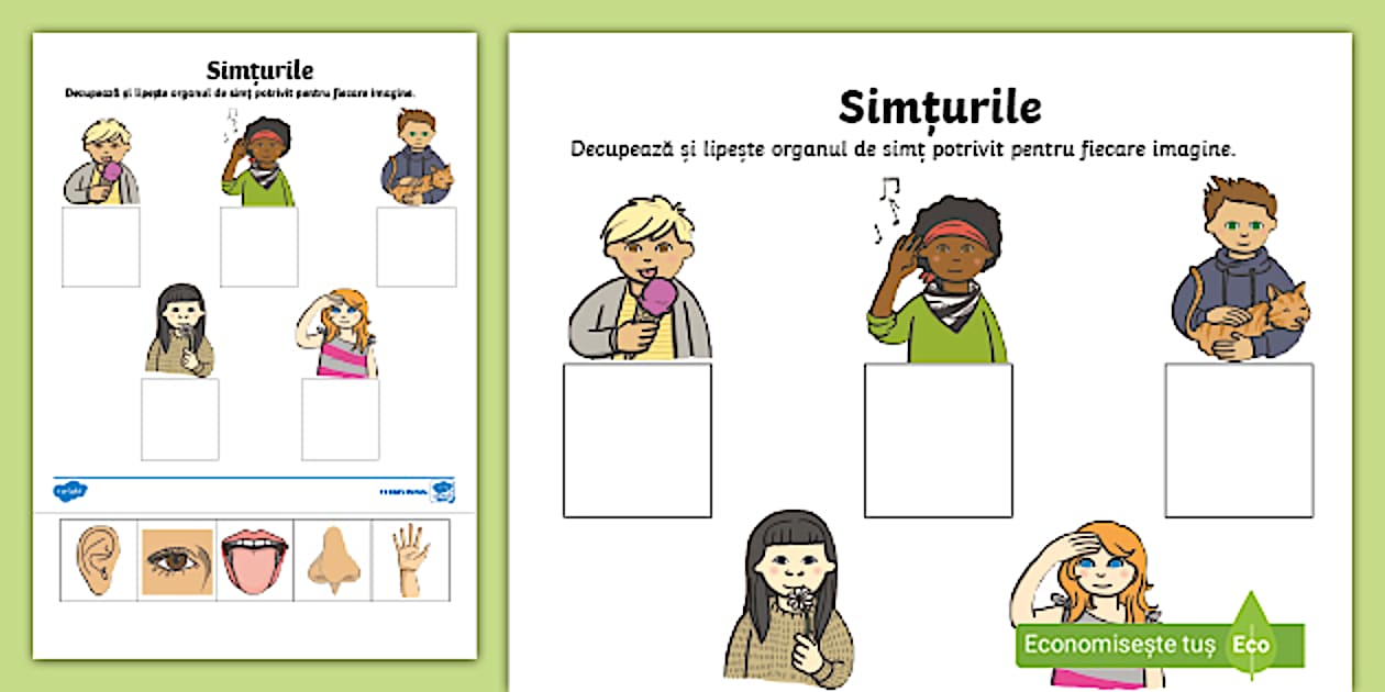 Simțurile: Decupează și lipește – Fișă de activitate